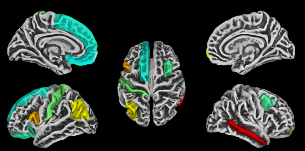 Current Positions – The Laboratory for Clinical Neuroscience